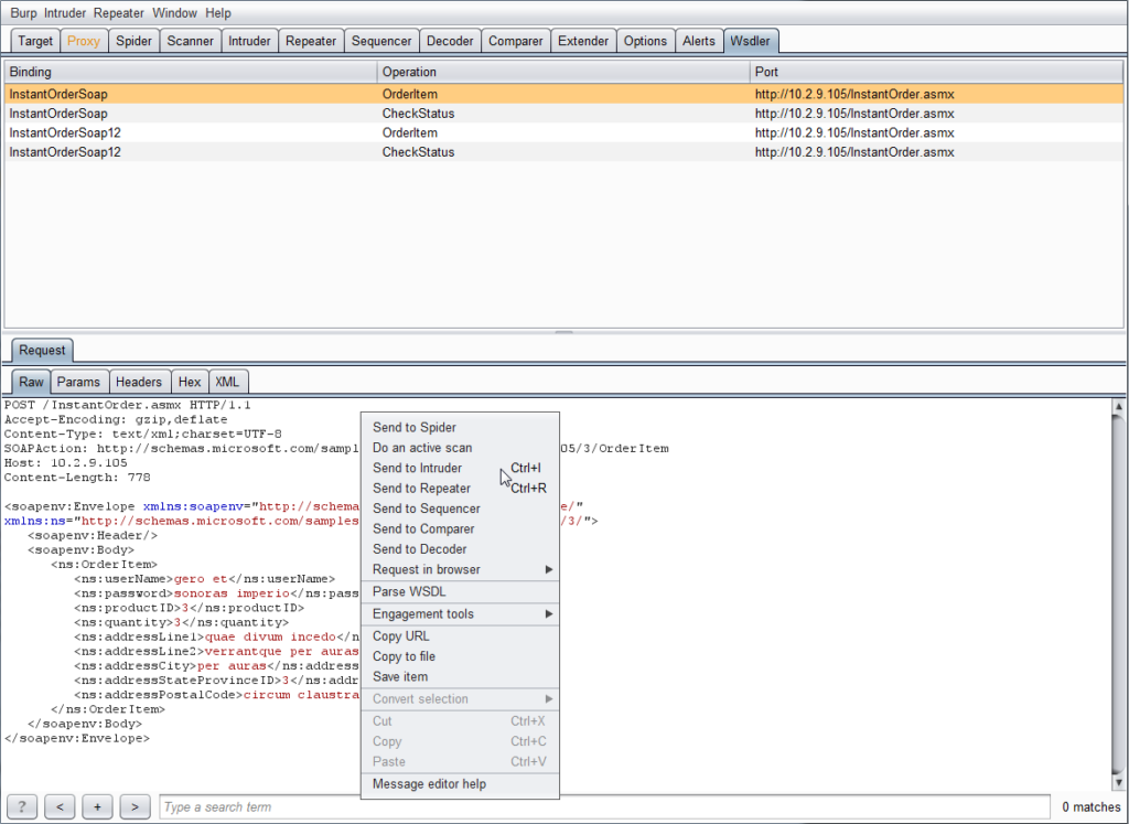 Hacking Web Services with Burp