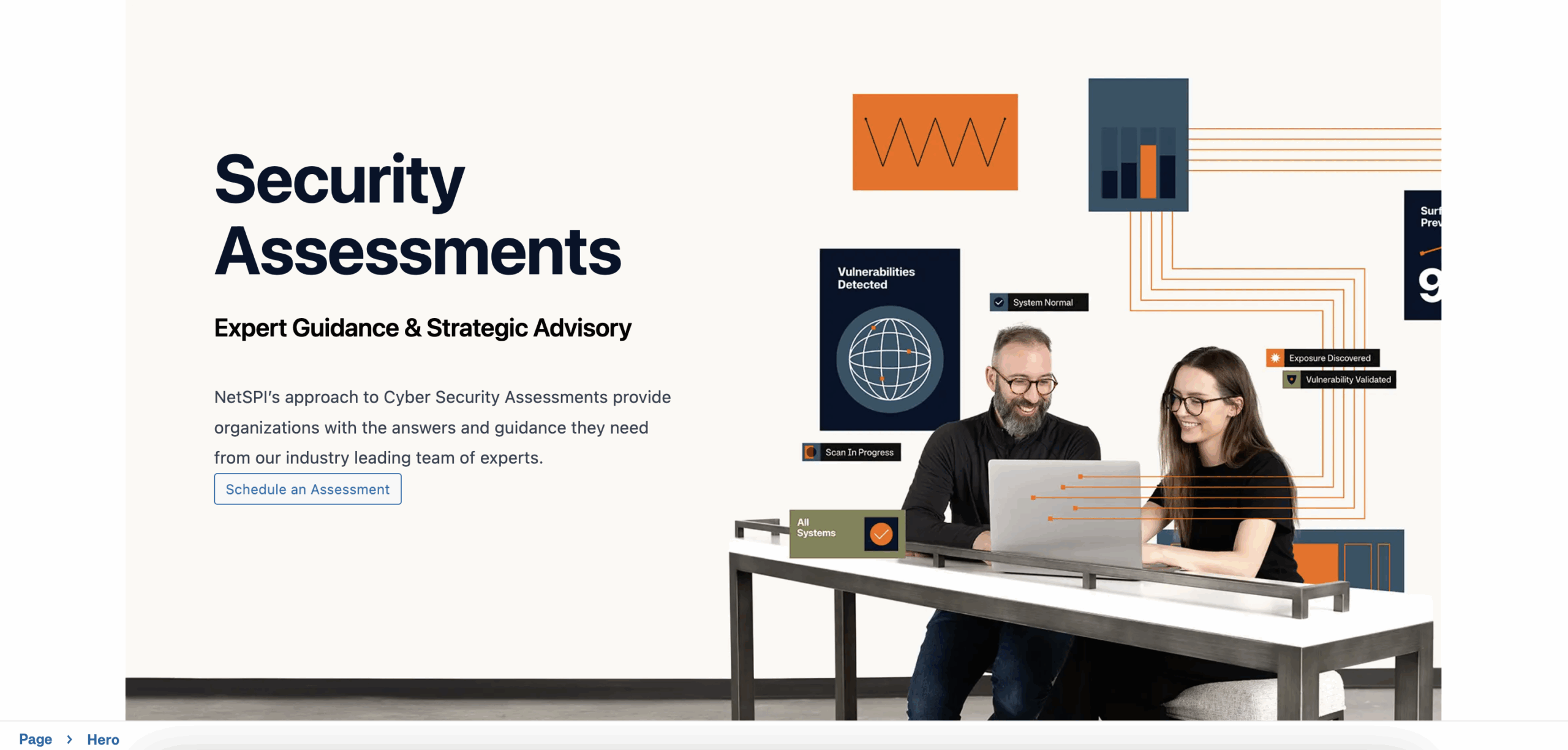 Cyber Security Assessments & Strategic Advisory Services - NetSPI